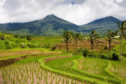 Bali Trekking 3 Days / 2 nights from $346 by Nyoman | Escapewithpro.com